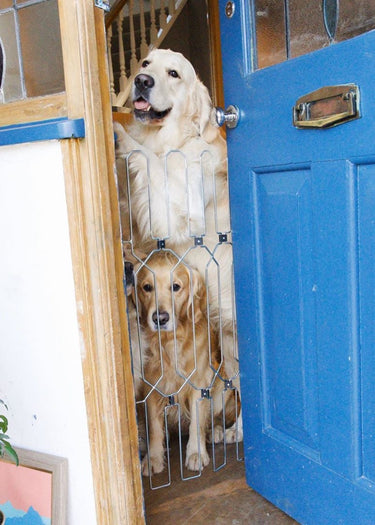 Dog Gate for Front Doors – The Dog-G8 Company
