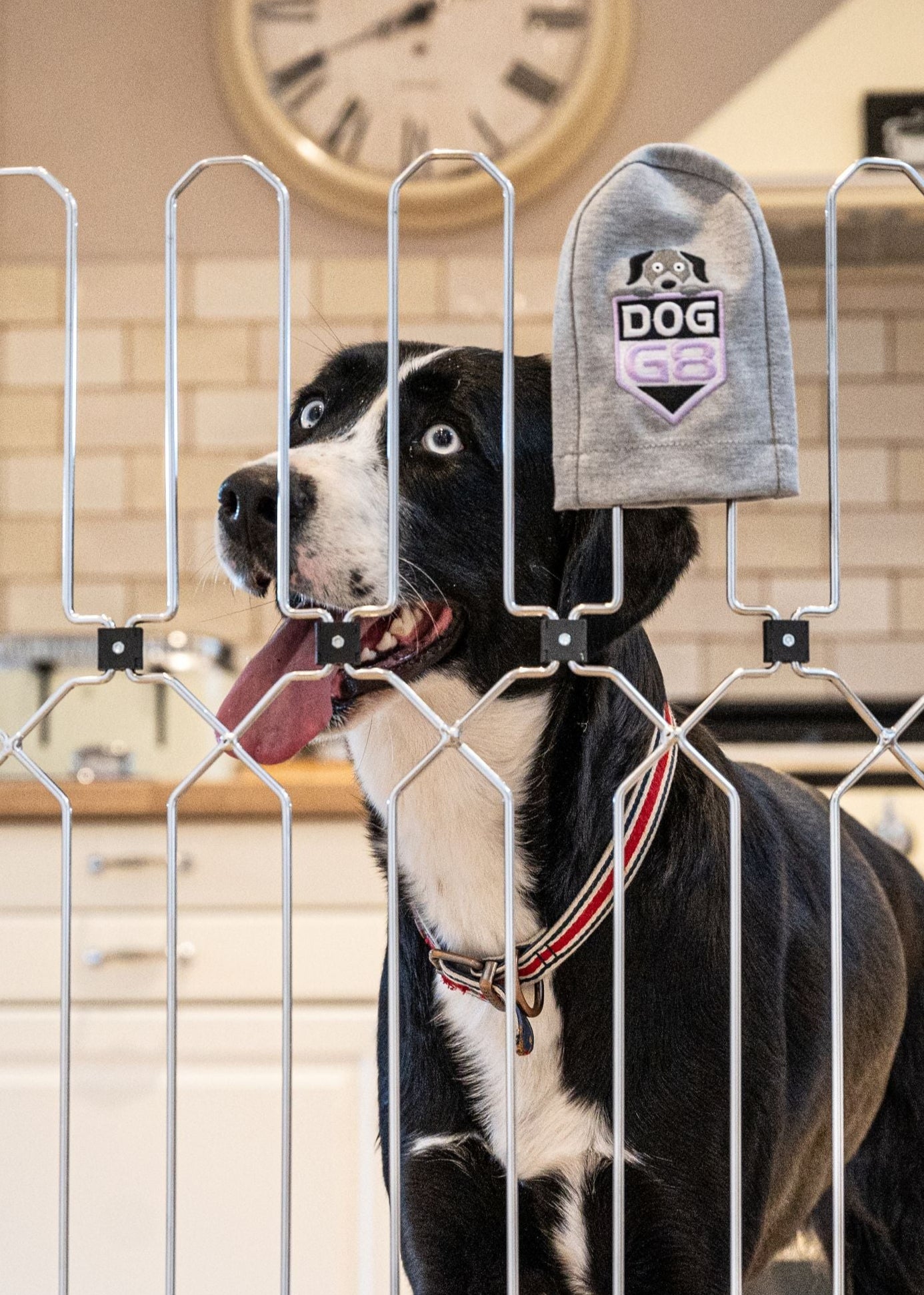 Extra-wide Dog Gate for any opening - The Dog-G8 Co – The Dog-G8 Company