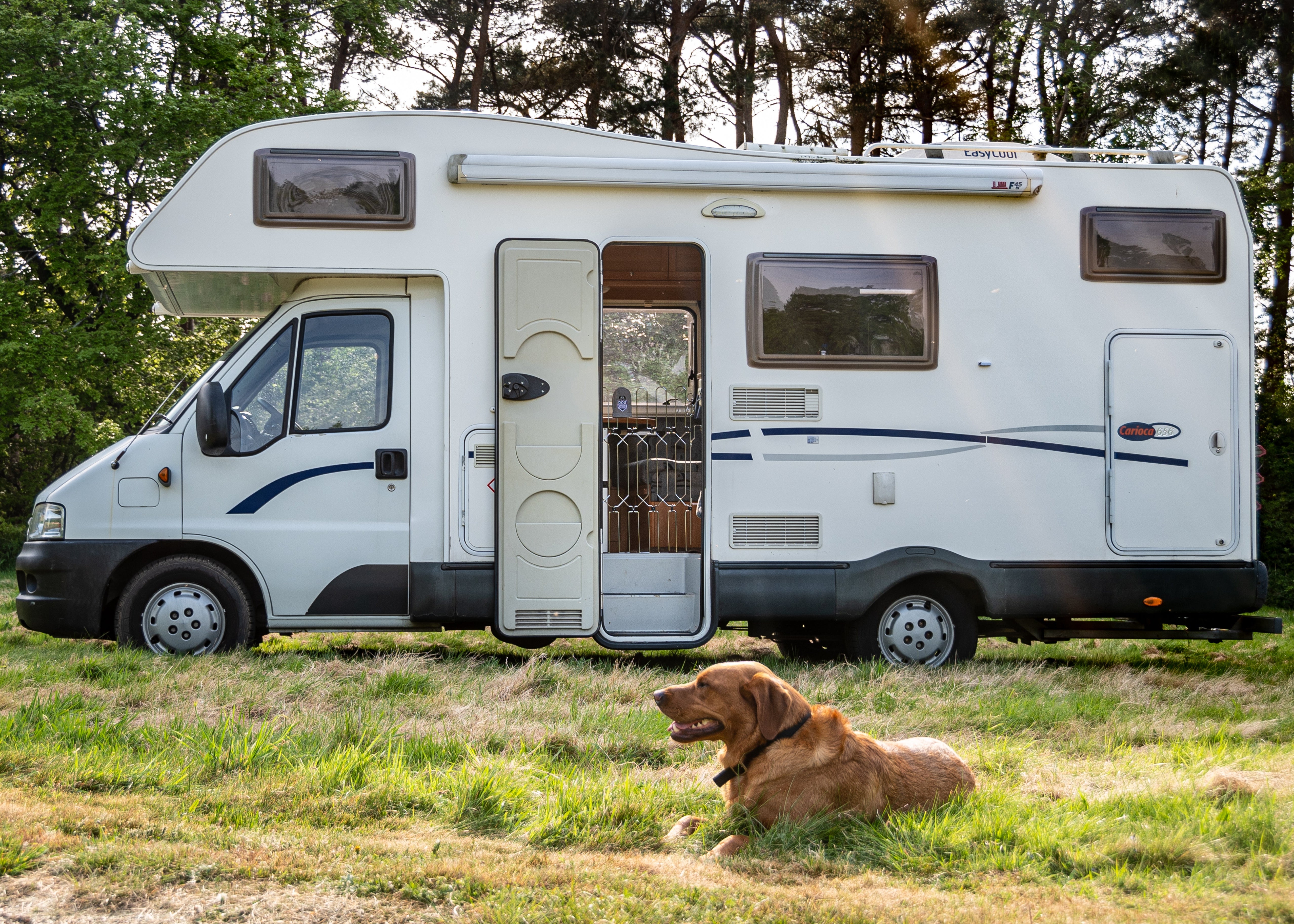 DOG-G8 MOTORHOME A concertina dog safety gate for Motorhome entrances ...