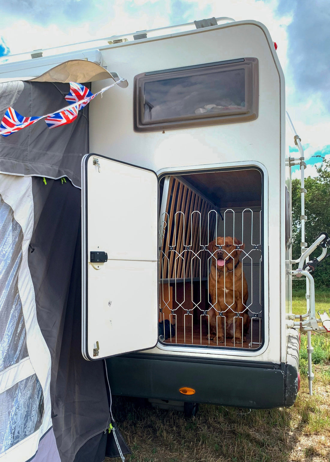 DOG-G8 MOTORHOME A concertina dog safety gate for Motorhome entrances ...