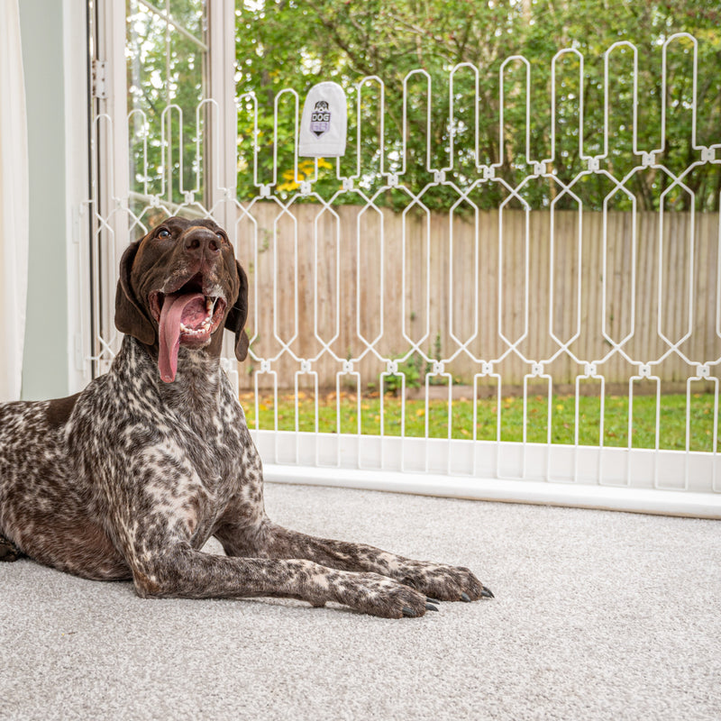 Products – The Dog-G8 Company